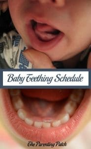Baby Teething Schedule