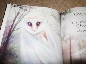 Review of 'Owl Always Love You' Book from flattenme