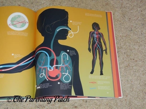 'My Body: Explained and Illustrated' Book Review