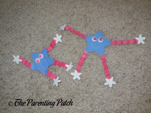 Star Person Craft