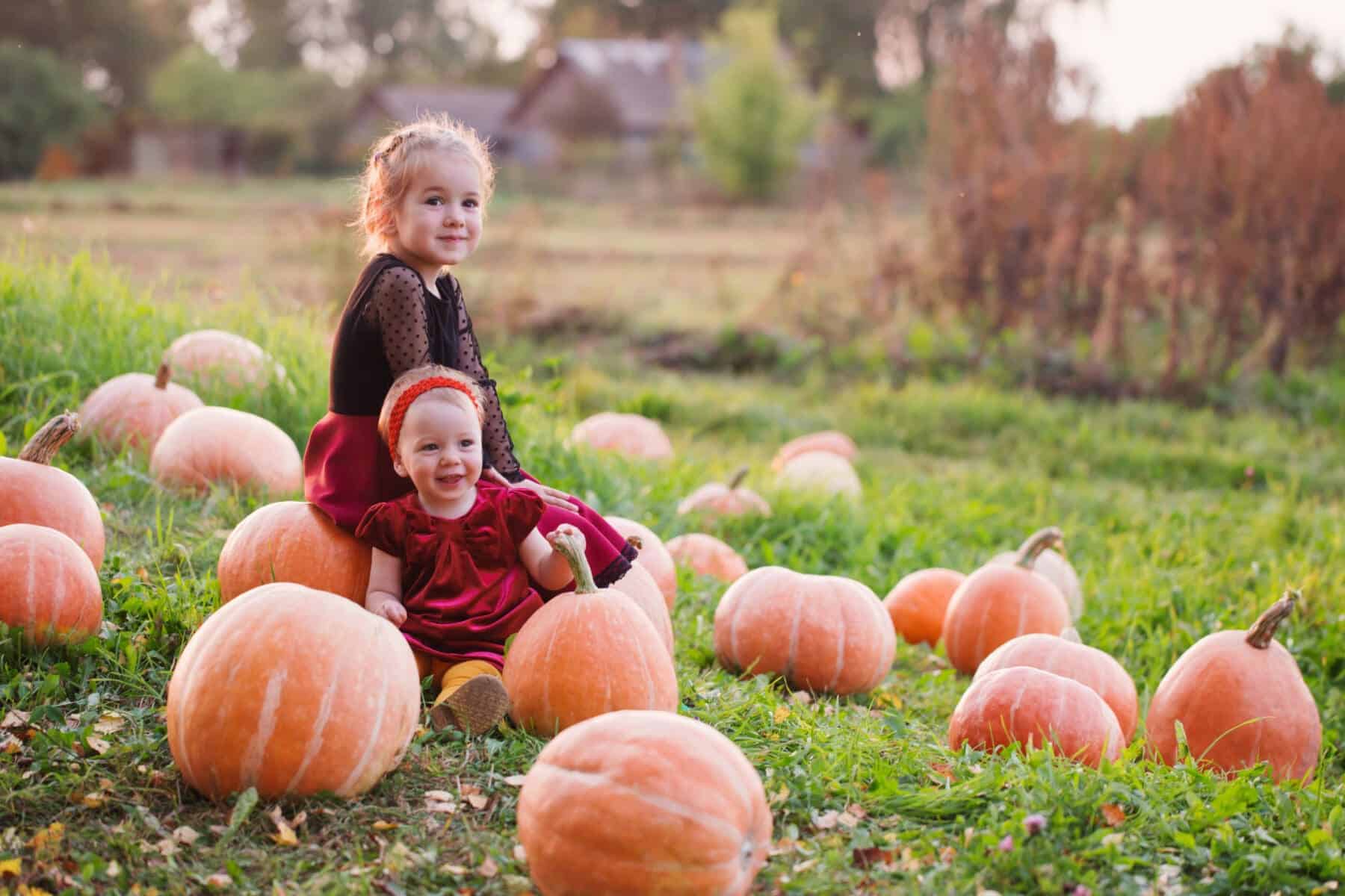 September Garden Chores: Cooler Weather Brings New Opportunities