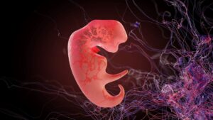 3 Weeks Pregnant: Symptoms, Baby Development & Other Info