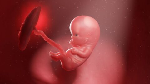 10 Weeks Pregnant: Symptoms, Baby Development & Other Info