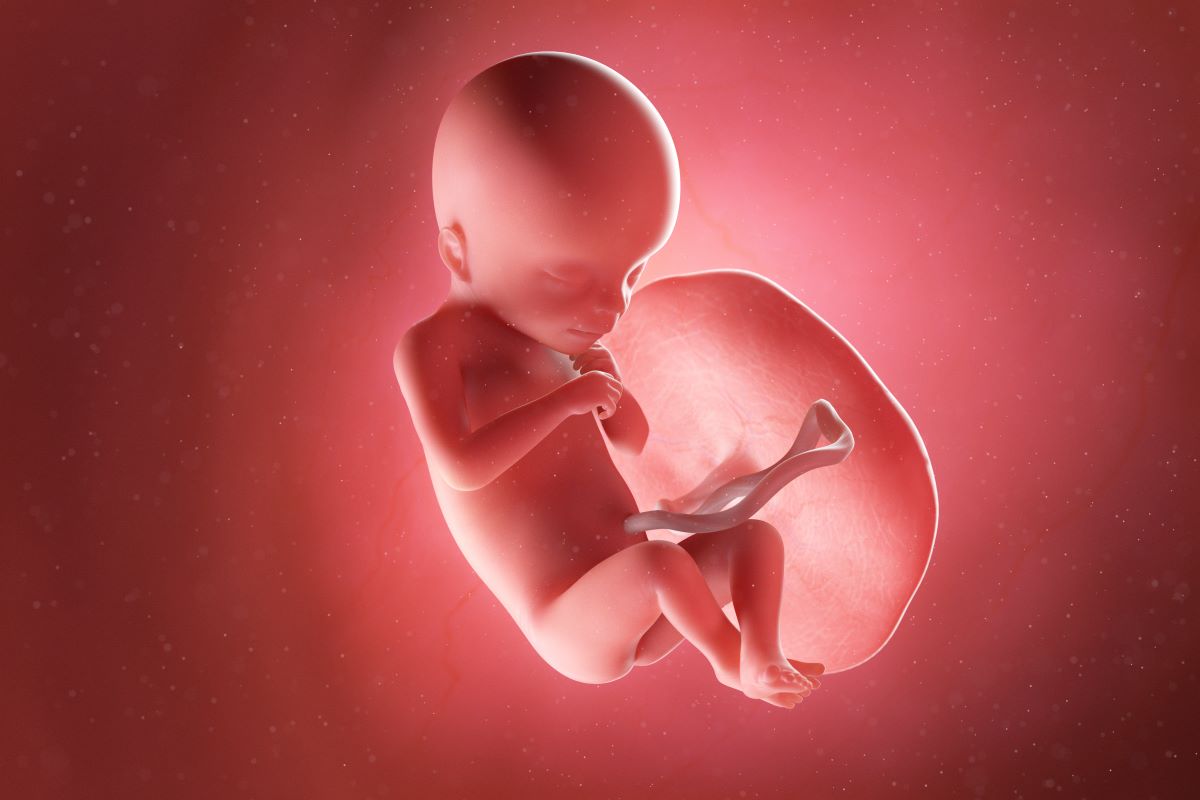 18 Weeks Pregnant: Symptoms, Baby Development & Other Info