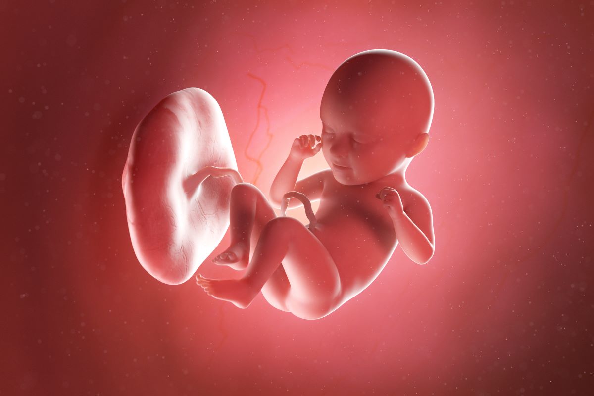 35 Weeks Pregnant: Symptoms, Baby Development & Other Info