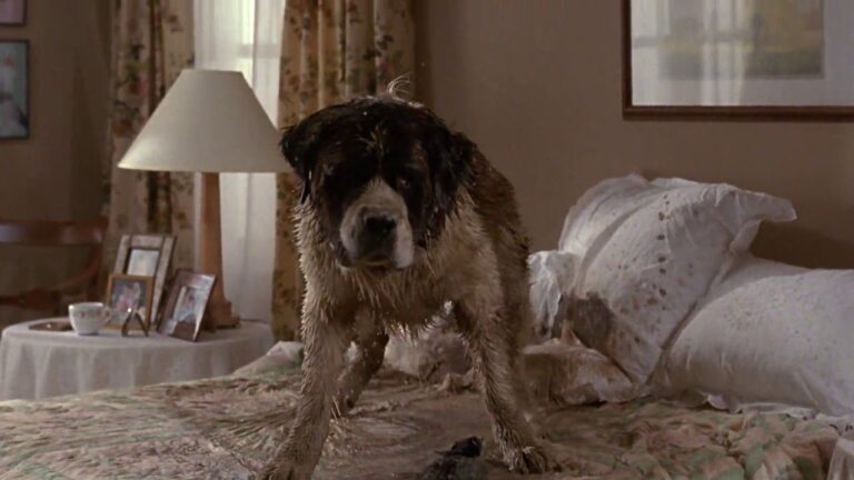 90s Kids Movies That My 4 Children Love And Lessons They Teach